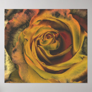 Rose Gold Art, Posters & Framed Artwork | Zazzle.co.uk