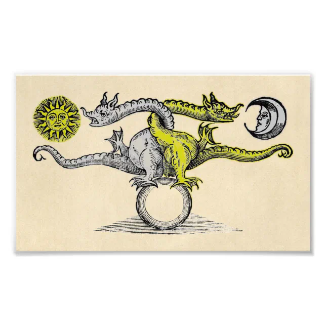 Gold & Silver Dragon Symbol Photo Print | Zazzle