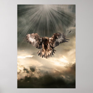 Golden Eagle Posters & Prints | Zazzle UK