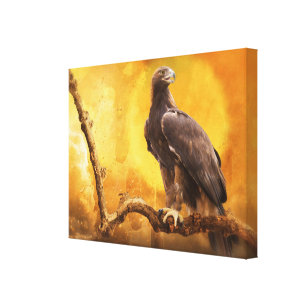 Golden Eagle Posters & Prints | Zazzle UK