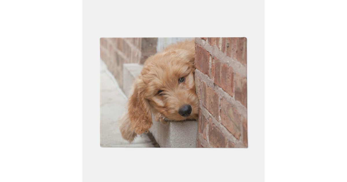 Goldendoodle Puppy Peeking Doormat | Zazzle