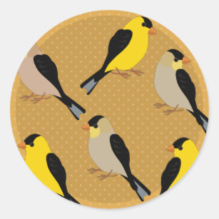 Goldfinch Stickers & Labels | Zazzle UK
