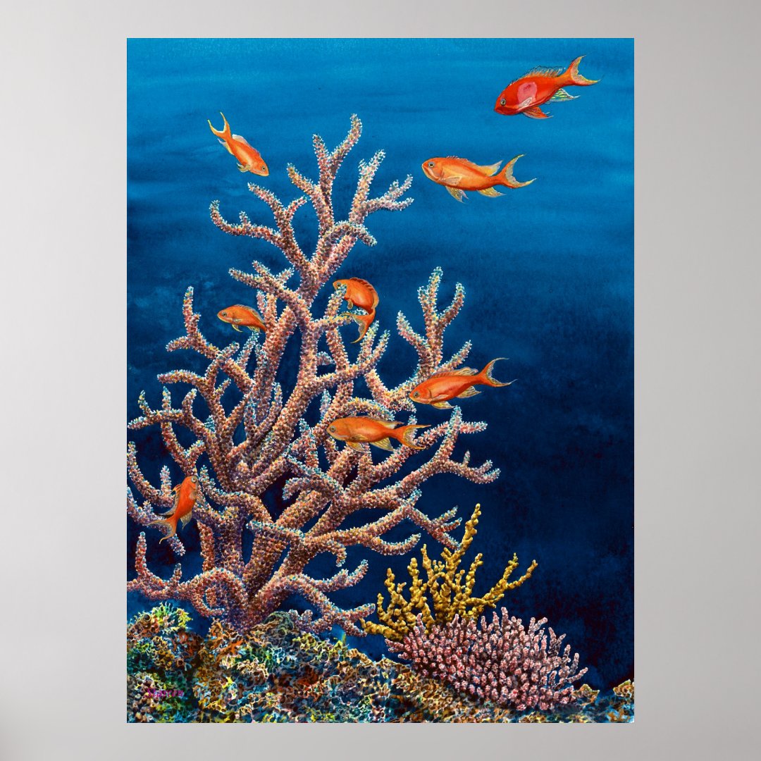 Goldfish of the Sea Poster | Zazzle