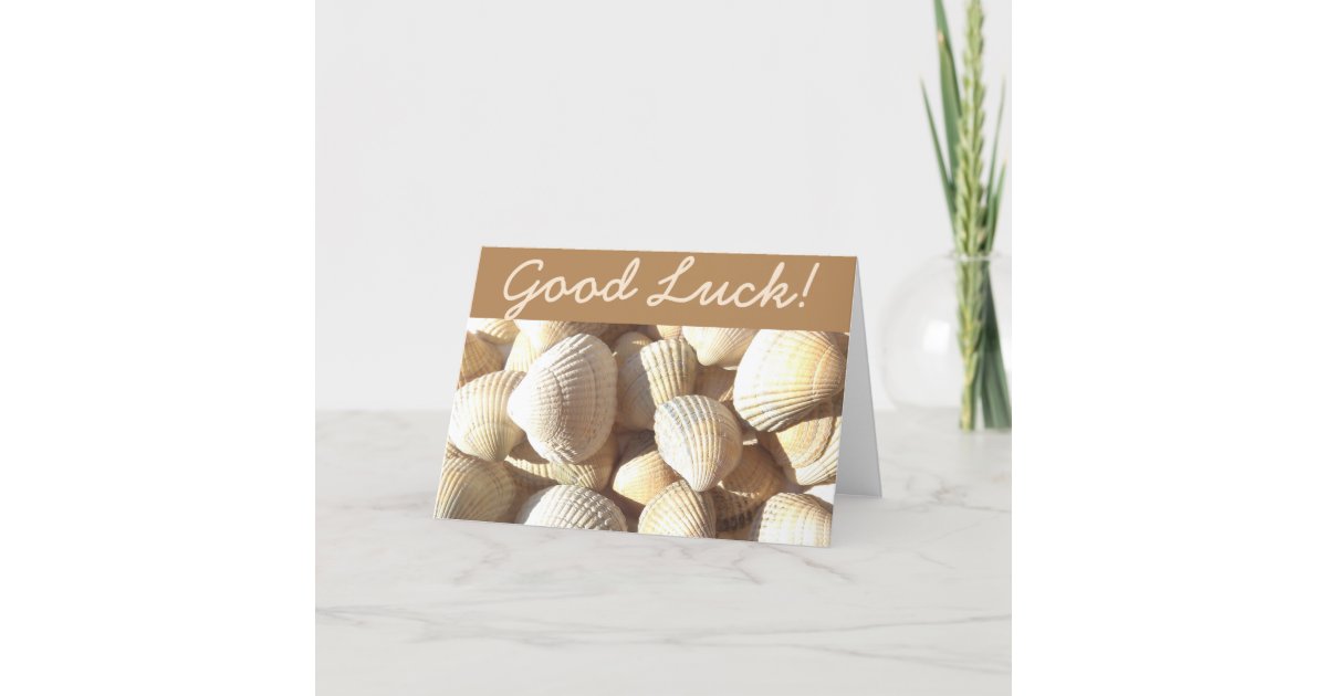 Good Luck! Sea Shells Sunny Tropical Exotic Beach Card | Zazzle.co.uk