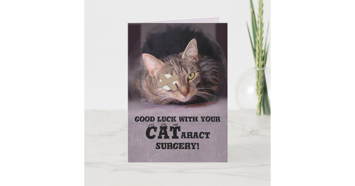 Good Luck with your CATaract Surgery Card | Zazzle.co.uk