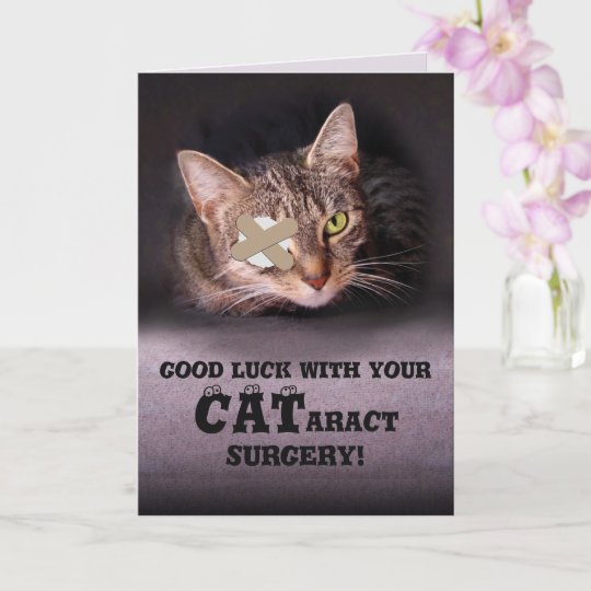Good Luck with your CATaract Surgery Card | Zazzle.co.uk