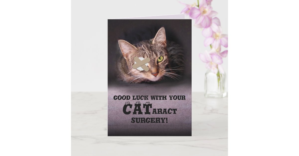 Good Luck with your CATaract Surgery Card | Zazzle