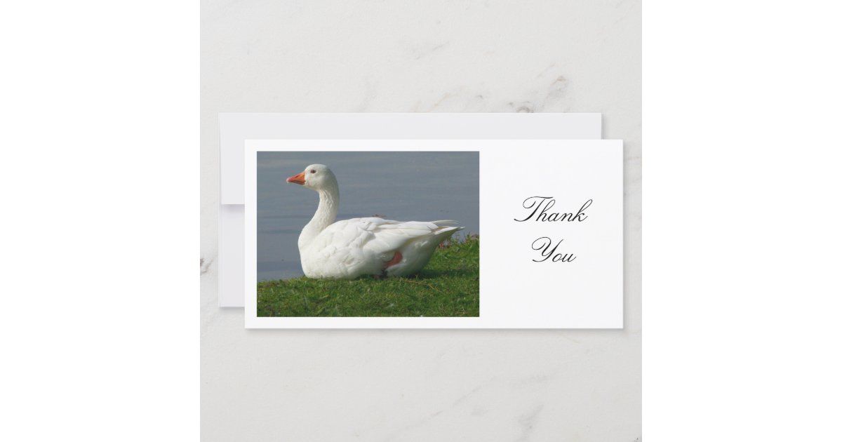 Goose - Thank You | Zazzle