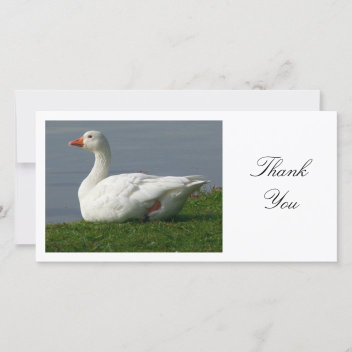 Goose - Thank You | Zazzle.co.uk