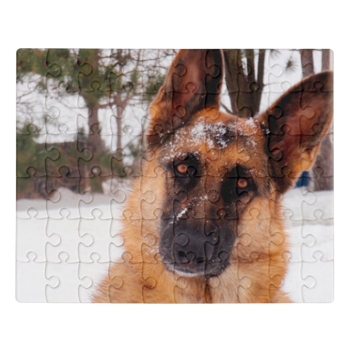 Gorgeous German Shepherd in the Winter Jigsaw Puzzle | Zazzle.co.uk