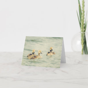 Geese Cards | Zazzle UK