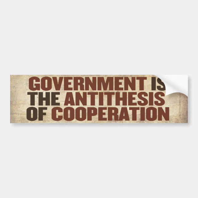 Government Bumper Sticker | Zazzle