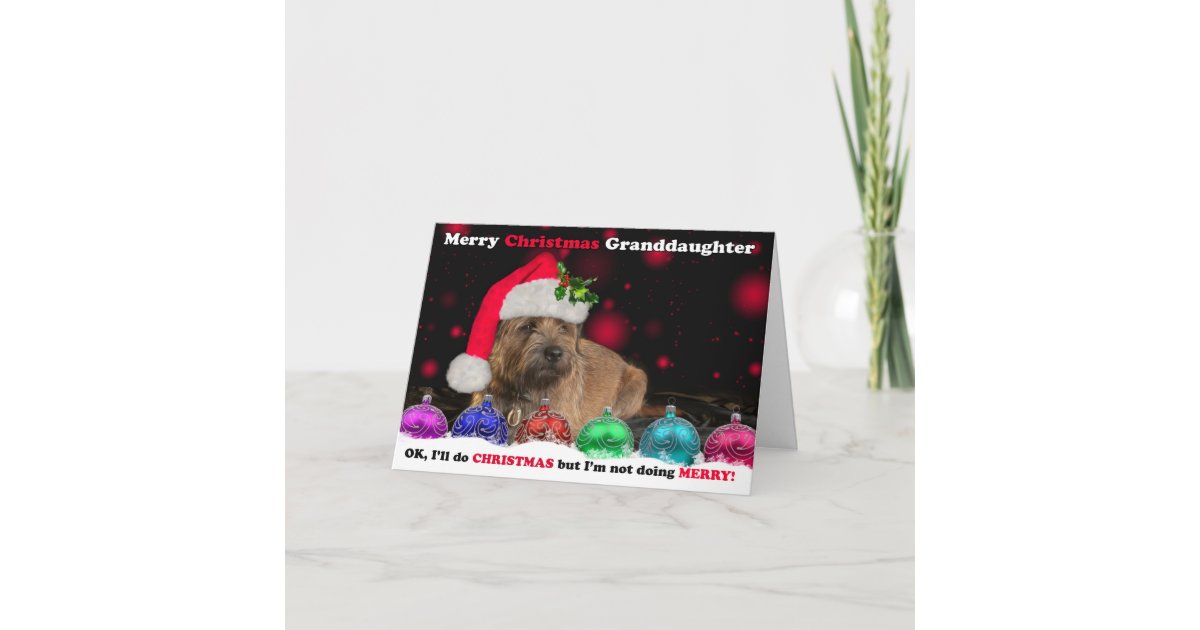 Granddaughter Grumpy Border Terrier Dog In Santa H Holiday Card | Zazzle