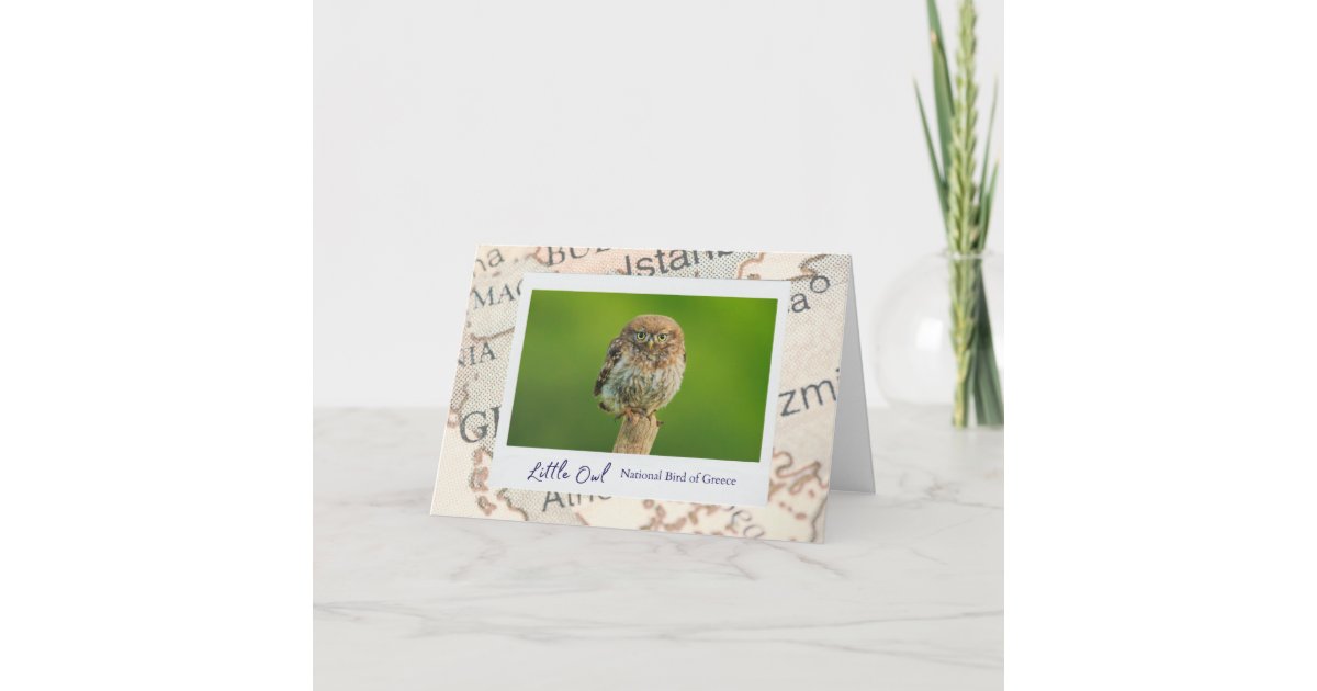 Greece Little Brown Owl Bird Emblem on Map Card | Zazzle