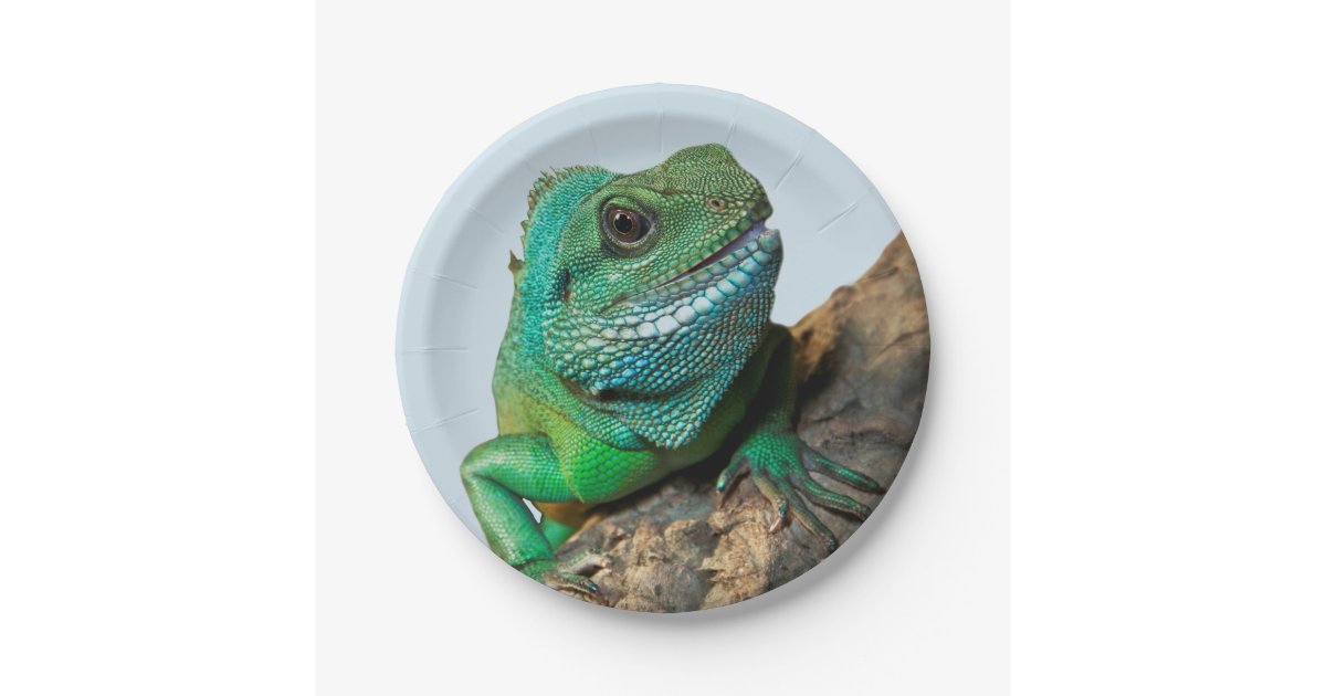 Green iguana paper plate | Zazzle