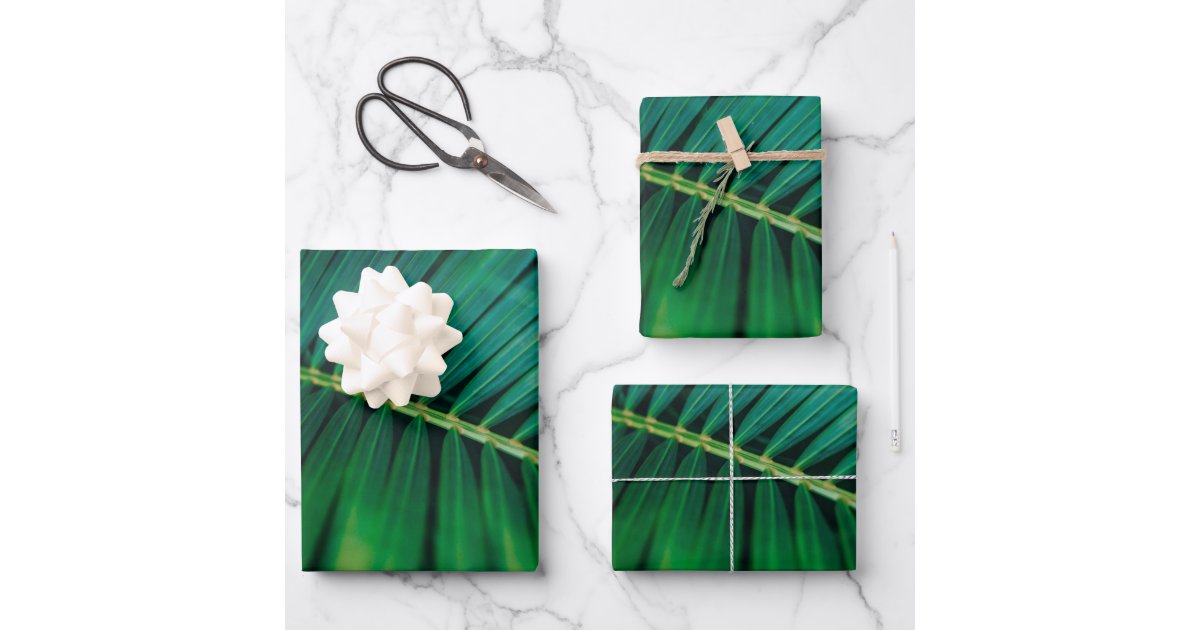 Green Leaf Palm Frond Tropical Nature Photo Wrapping Paper Sheet | Zazzle
