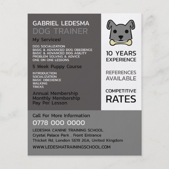 Grey Dog, Dog Trainer Advertising Flyer | Zazzle.co.uk