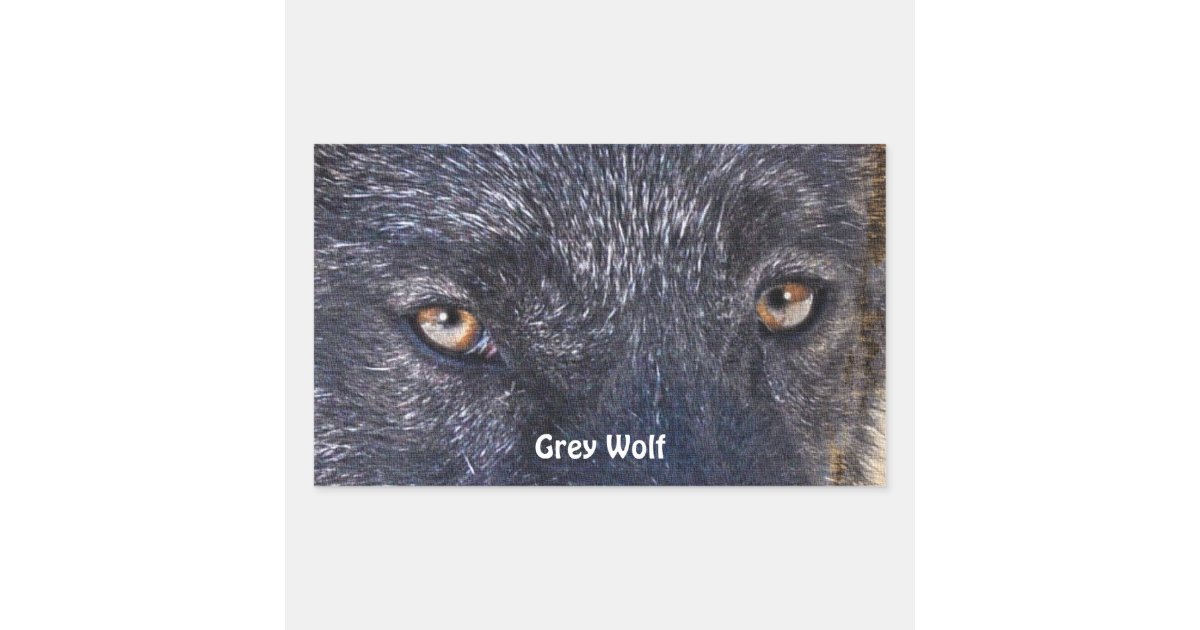GREY WOLF EYES Wildlife Supporter Stickers | Zazzle