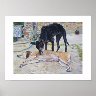 Greyhound Posters | Zazzle.co.uk