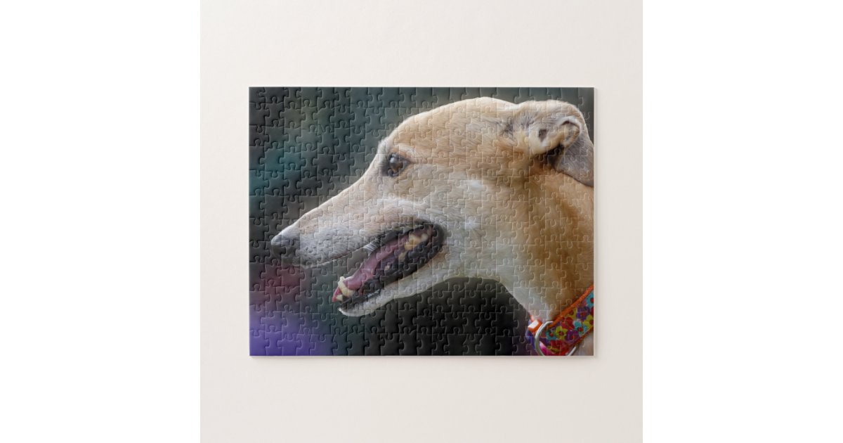 Greyhound jigsaw puzzle | Zazzle