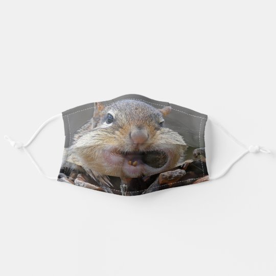 Grumpy Chipmunk Cloth Face Mask | Zazzle.co.uk