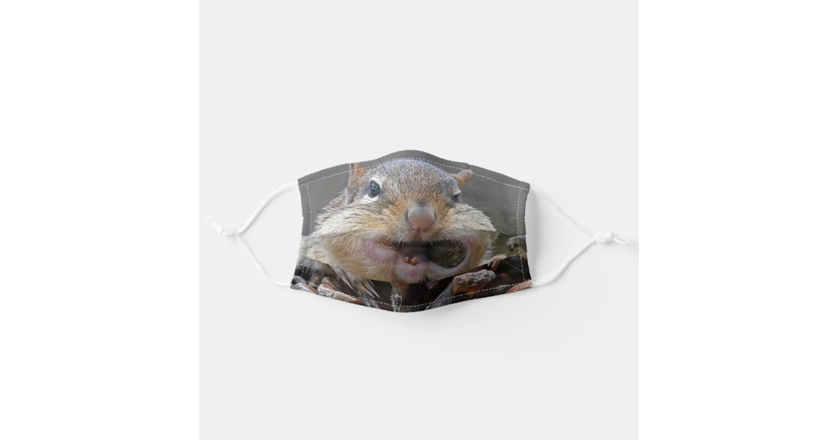 Grumpy Chipmunk Cloth Face Mask | Zazzle