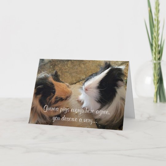 Guinea Pigs Birthday Card | Zazzle.co.uk
