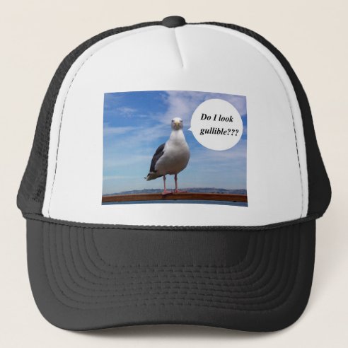 Seagull Hats & Caps | Zazzle UK