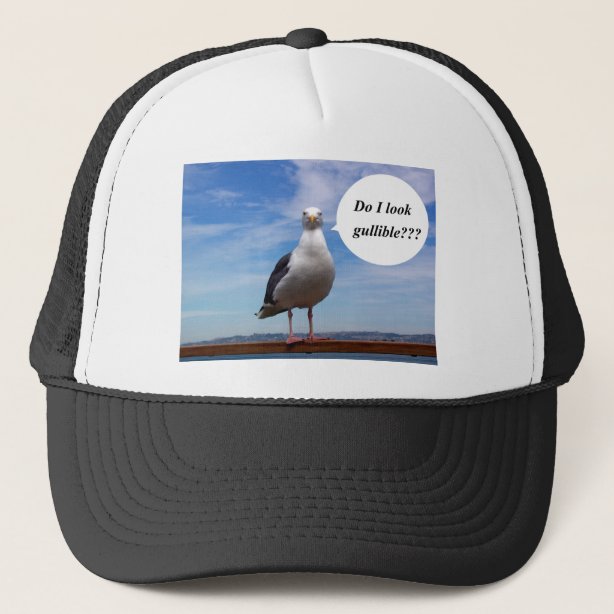 Seagull Hats & Caps | Zazzle UK