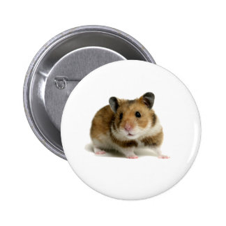 Hamster Badges and Hamster Pins | Zazzle.co.uk