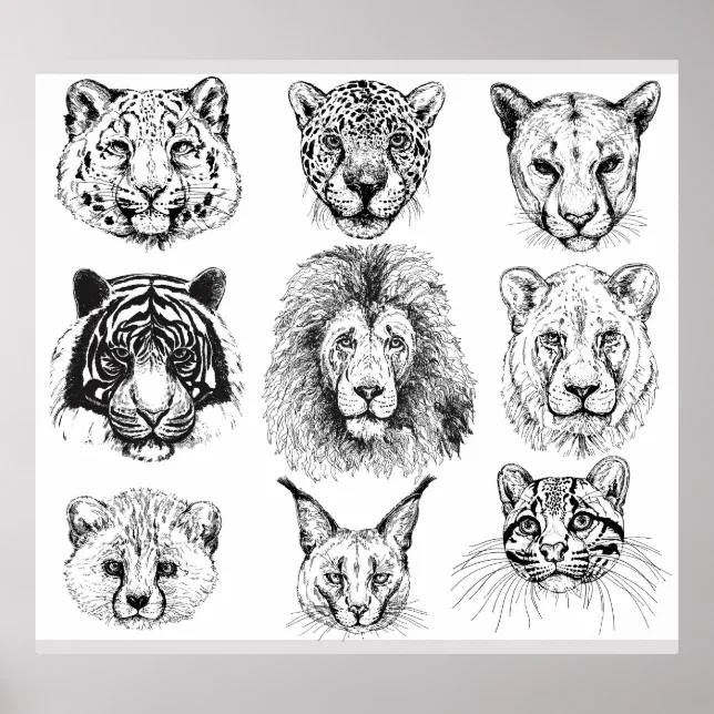 Hand Drawn Sketch Animal Portraits Poster | Zazzle