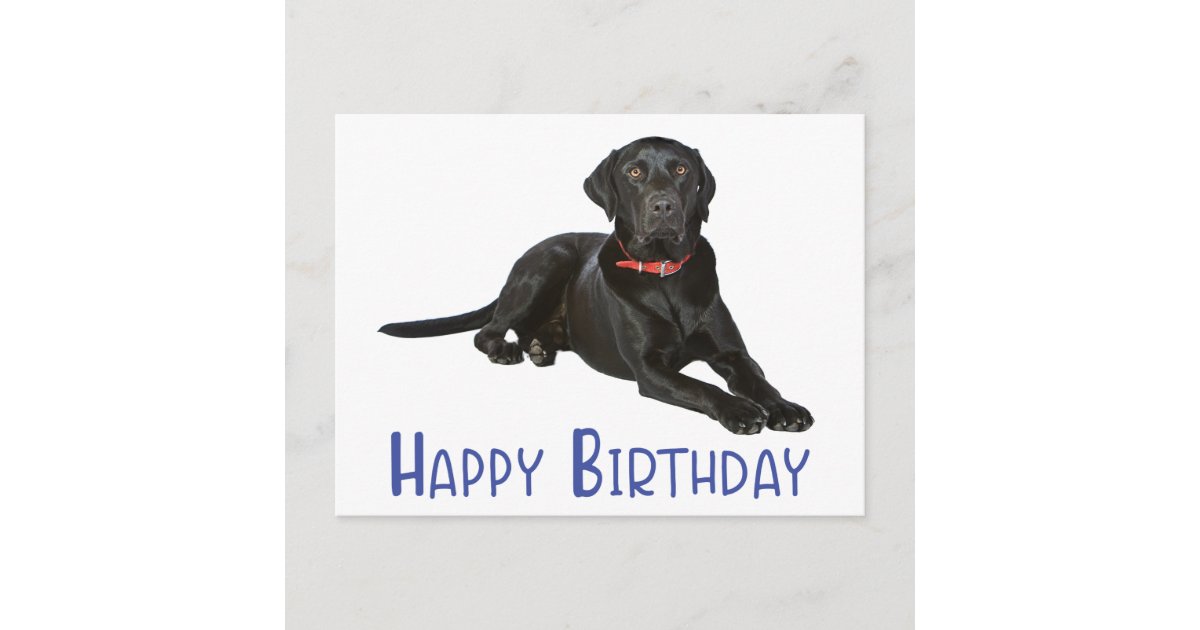 Happy Birthday Black Labrador Retriever Puppy Dog Postcard | Zazzle