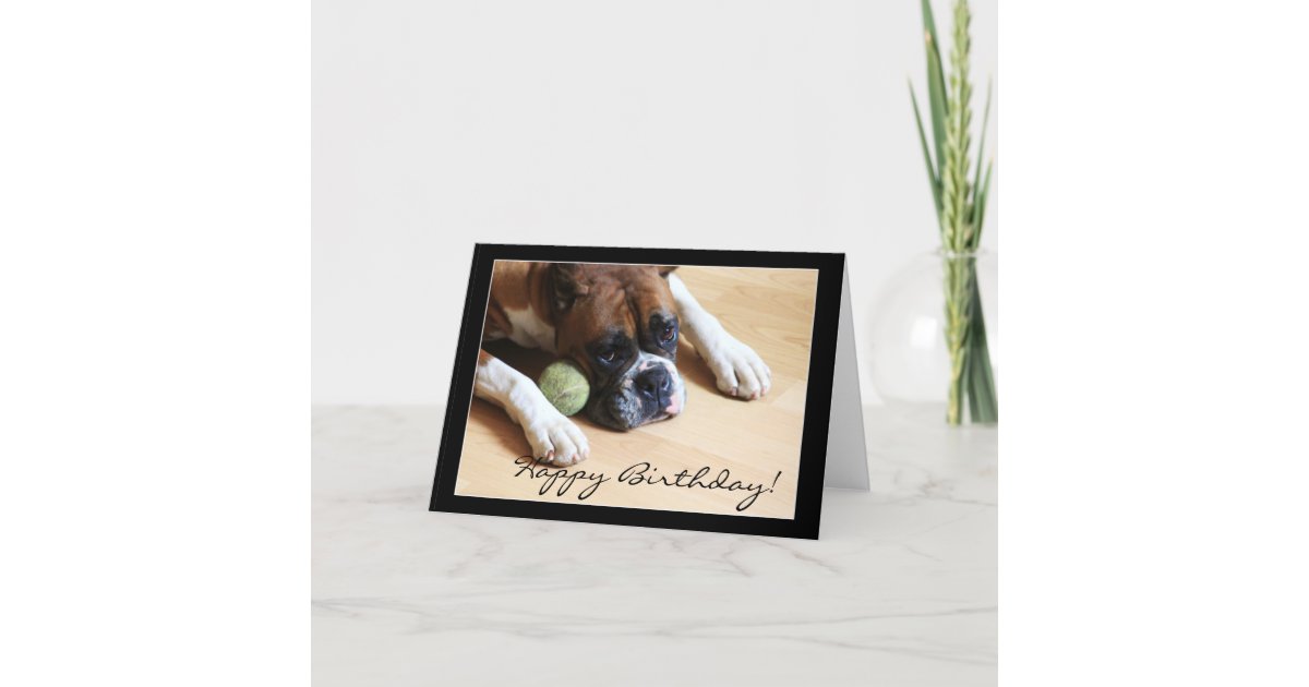 Happy Birthday Boxer Dog Greeting Card | Zazzle