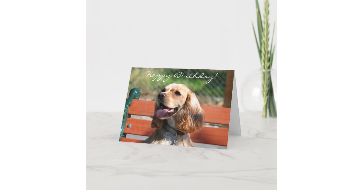 Happy Birthday Cocker Spaniel greeting card | Zazzle