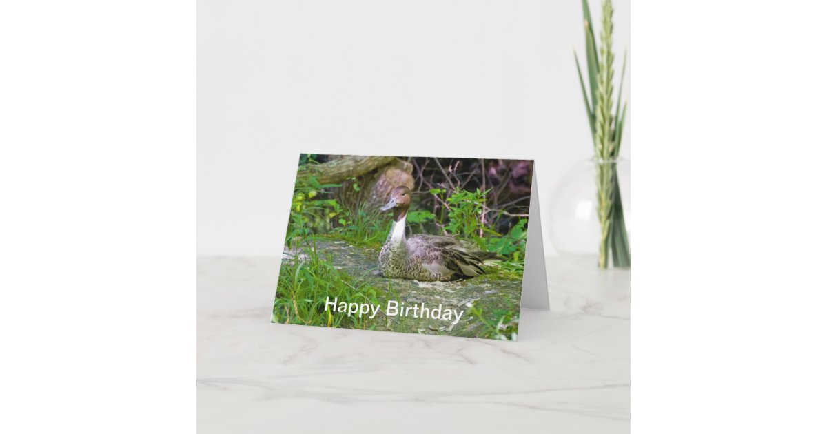 Happy Birthday, Duck ,Greeting Card | Zazzle