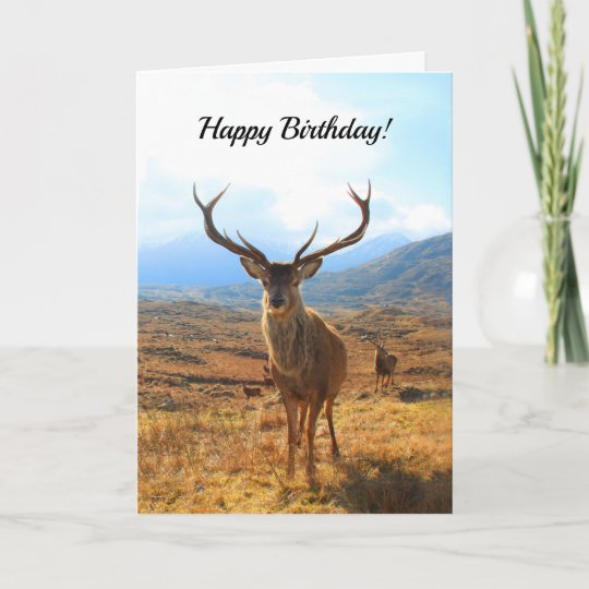 Happy Birthday for a Deer Person Card | Zazzle.co.uk