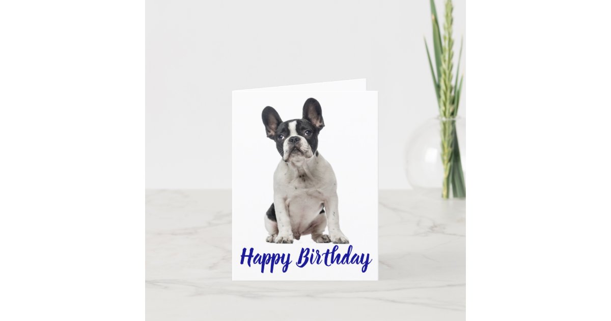 Happy Birthday French Bulldog Puppy Dog Frenchie Card | Zazzle