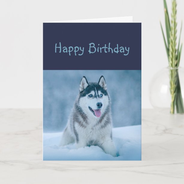 Husky Birthday Cards | Zazzle UK