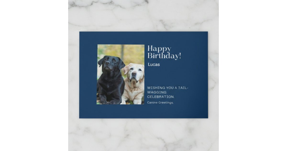 Happy Birthday Lab Buddies Greeting Card | Zazzle