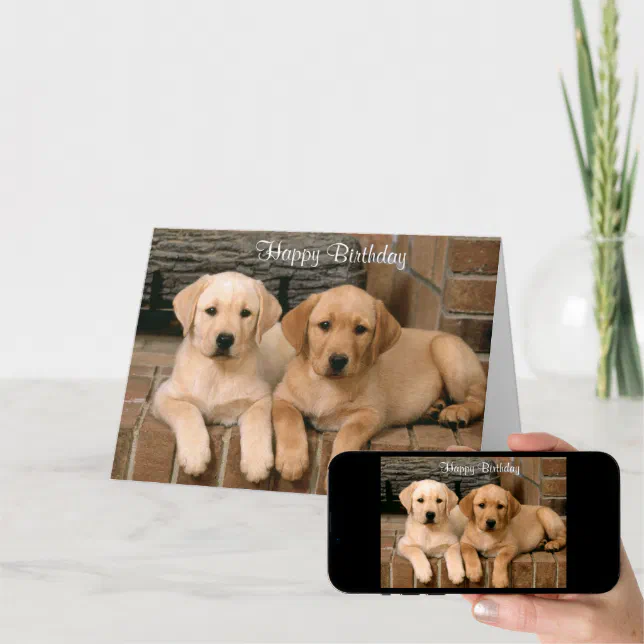 Happy Birthday Labrador Retriever Puppies Card | Zazzle