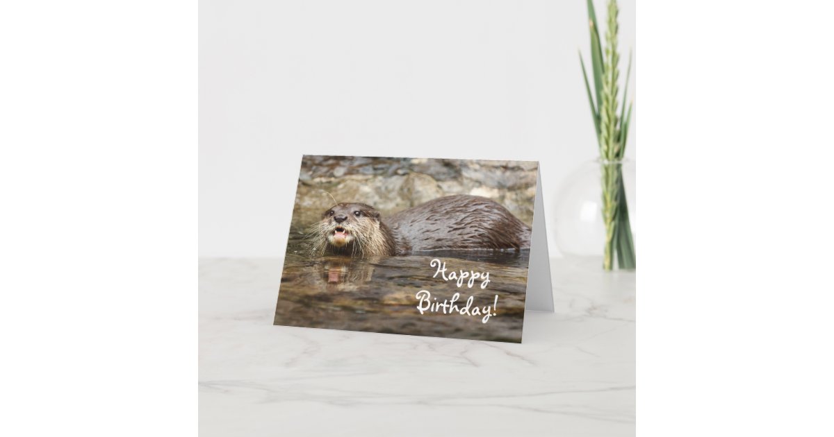 Happy birthday otter Greeting card | Zazzle.co.uk