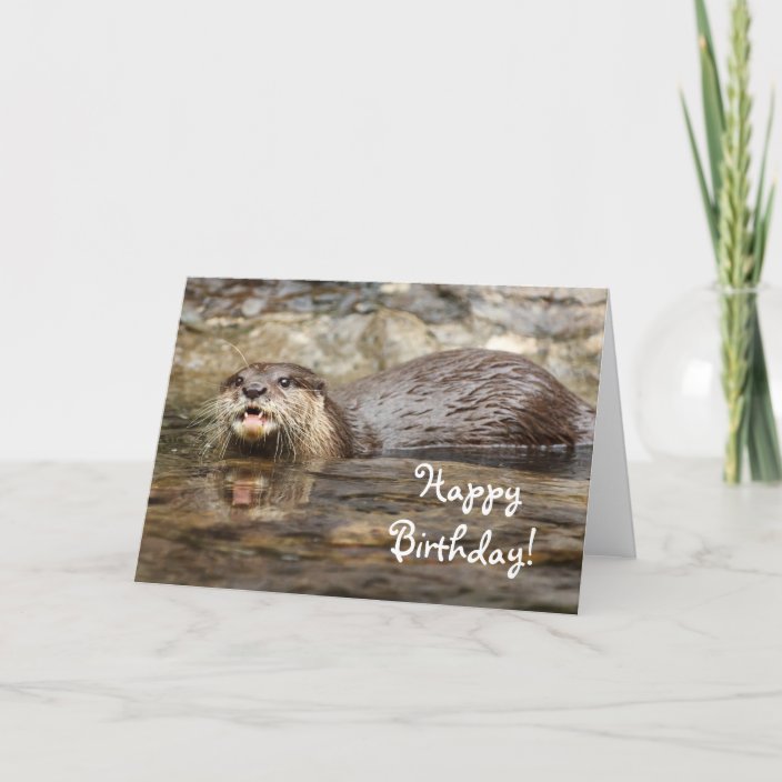 Happy birthday otter Greeting card | Zazzle.co.uk