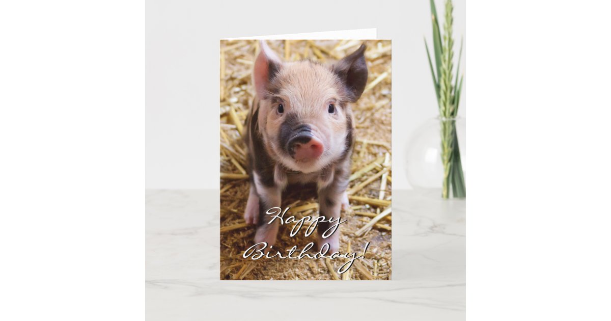 Happy Birthday Piglet Card | Zazzle.co.uk