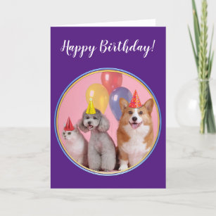 Corgi Birthday Cards | Zazzle UK
