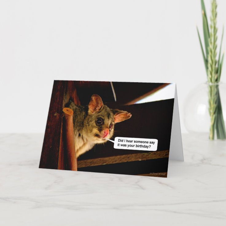 Happy Birthday Possum cute Birthday card Opossum | Zazzle