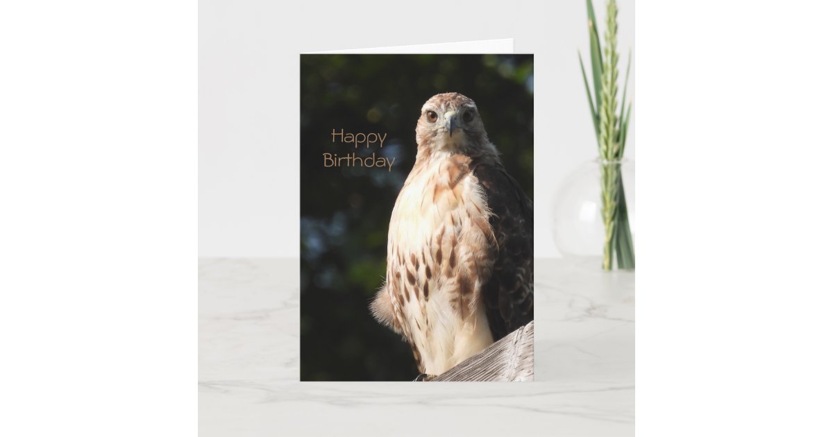 Happy Birthday Red Tail Hawk Card | Zazzle.co.uk
