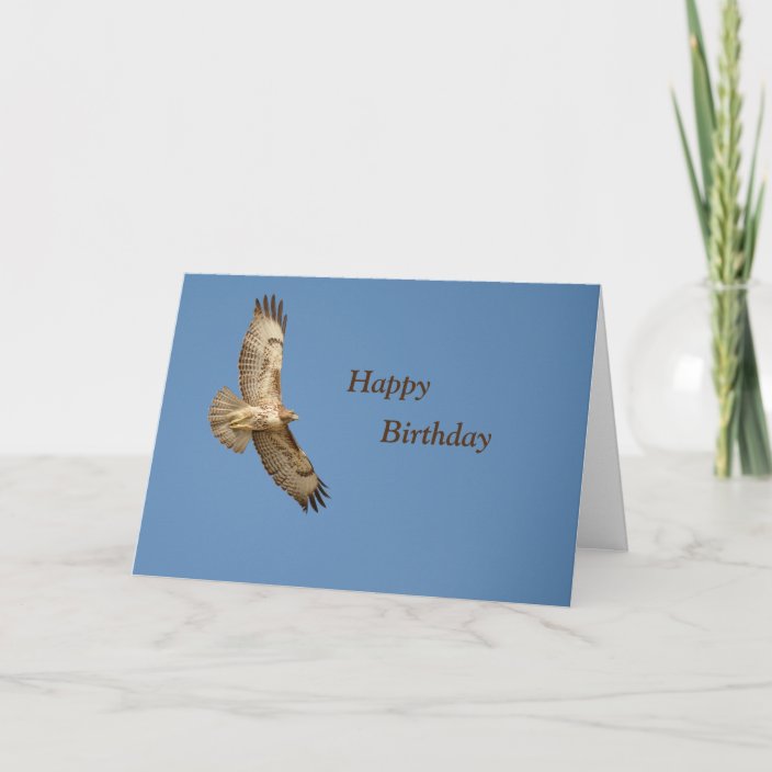 Happy Birthday Red Tailed Hawk Card | Zazzle.co.uk