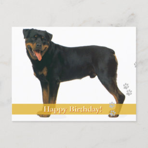 Rottweiler Birthday Cards | Zazzle UK
