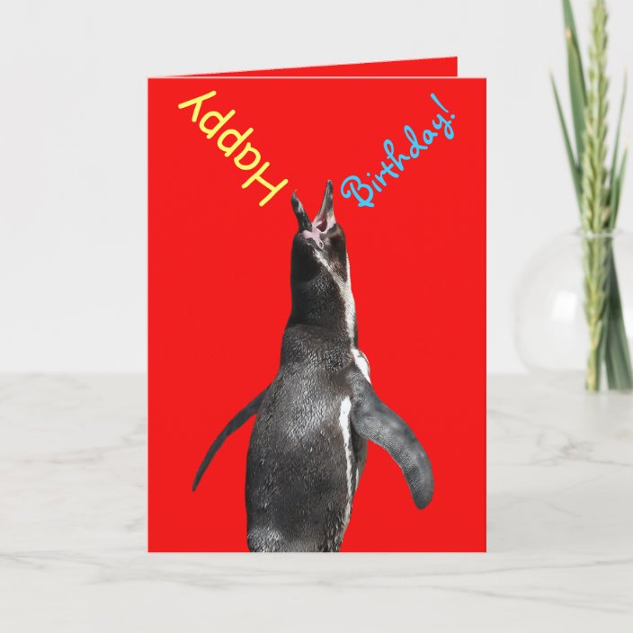 Happy Birthday! Shouting Penguin Funny Card | Zazzle.co.uk