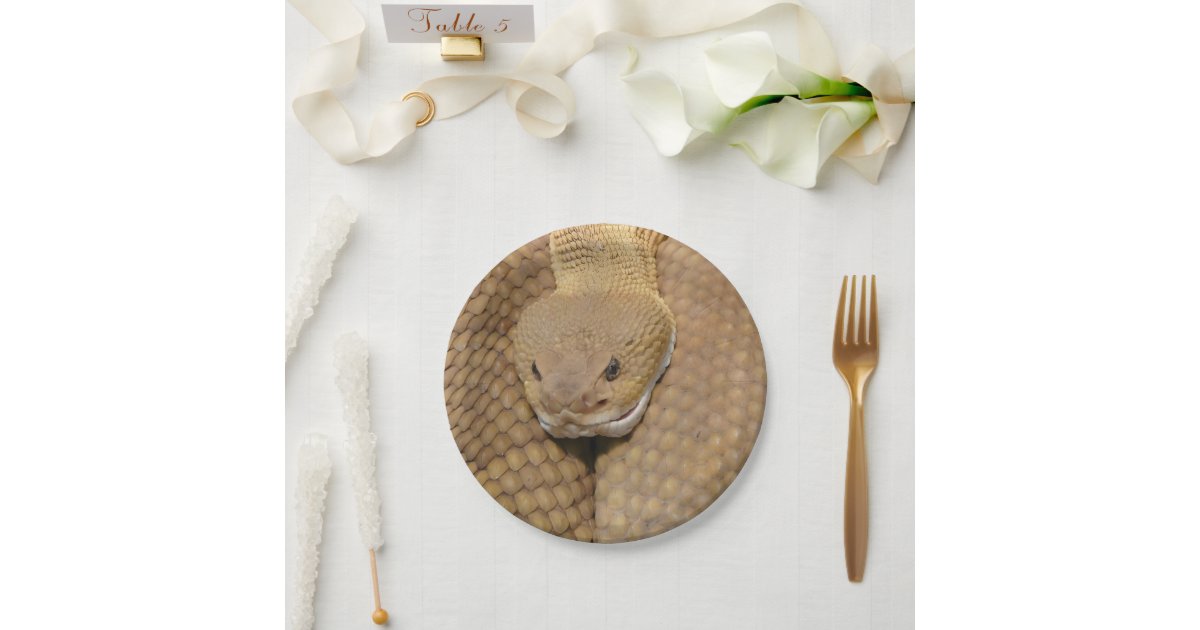 Happy Birthday Snake Party Plates | Zazzle